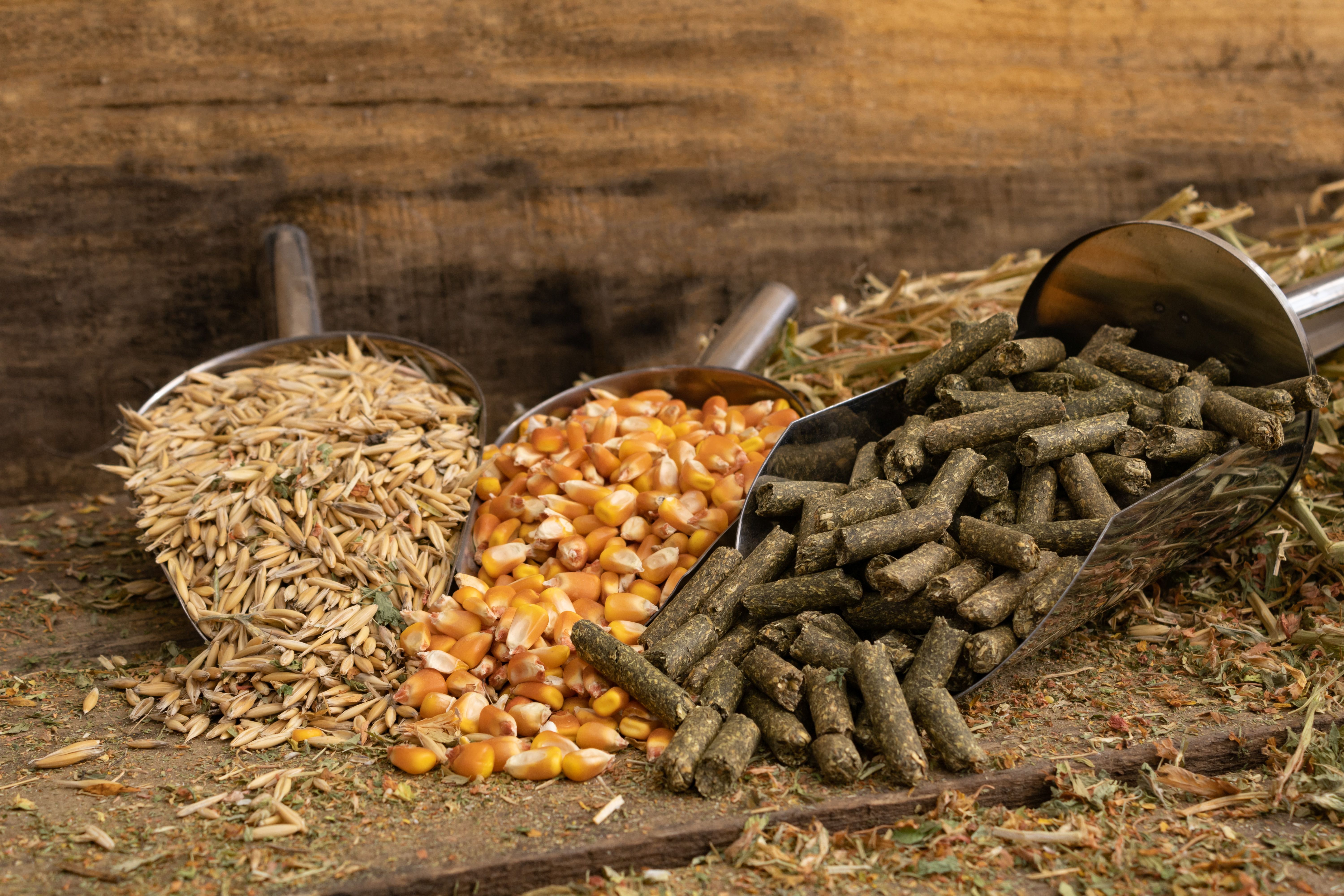 Moltech - Driving the Circular Economy | Sustainable Bio-Based Products